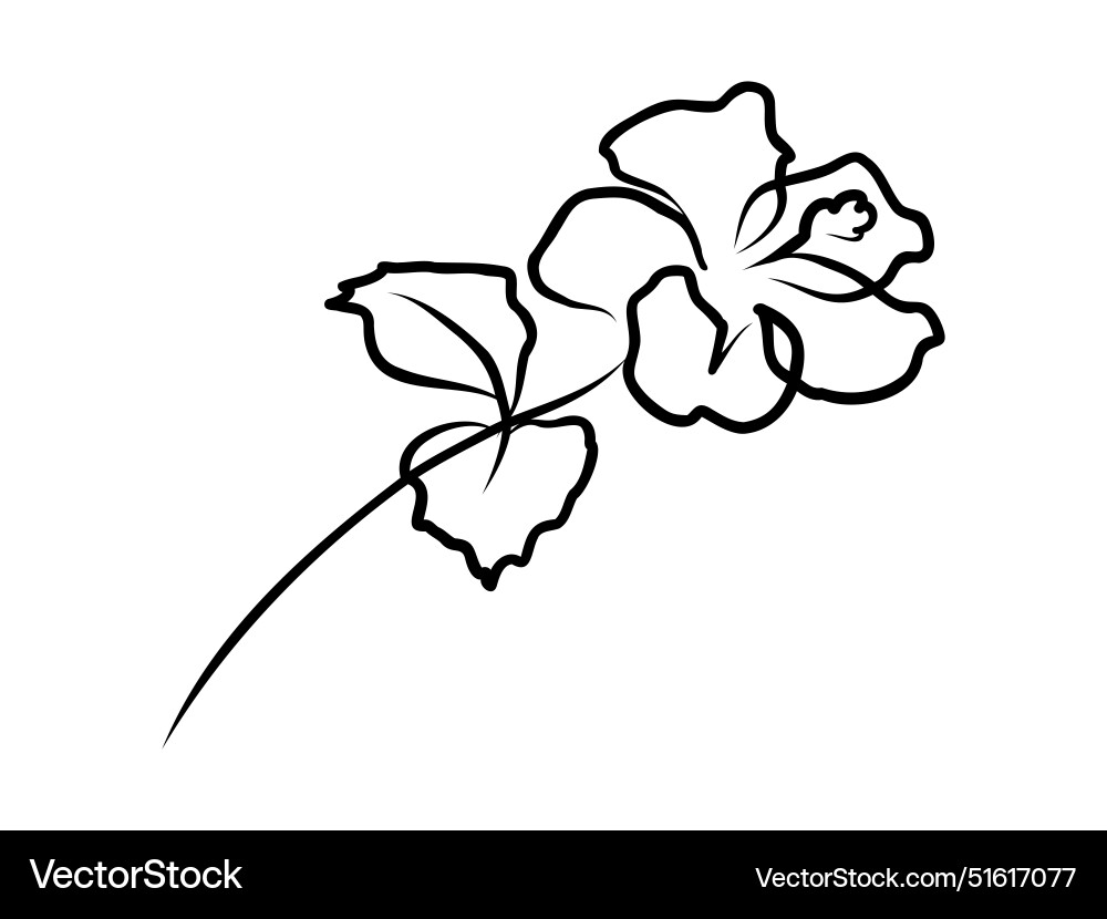 Hibiscus flower in one continuous line drawing Vector Image