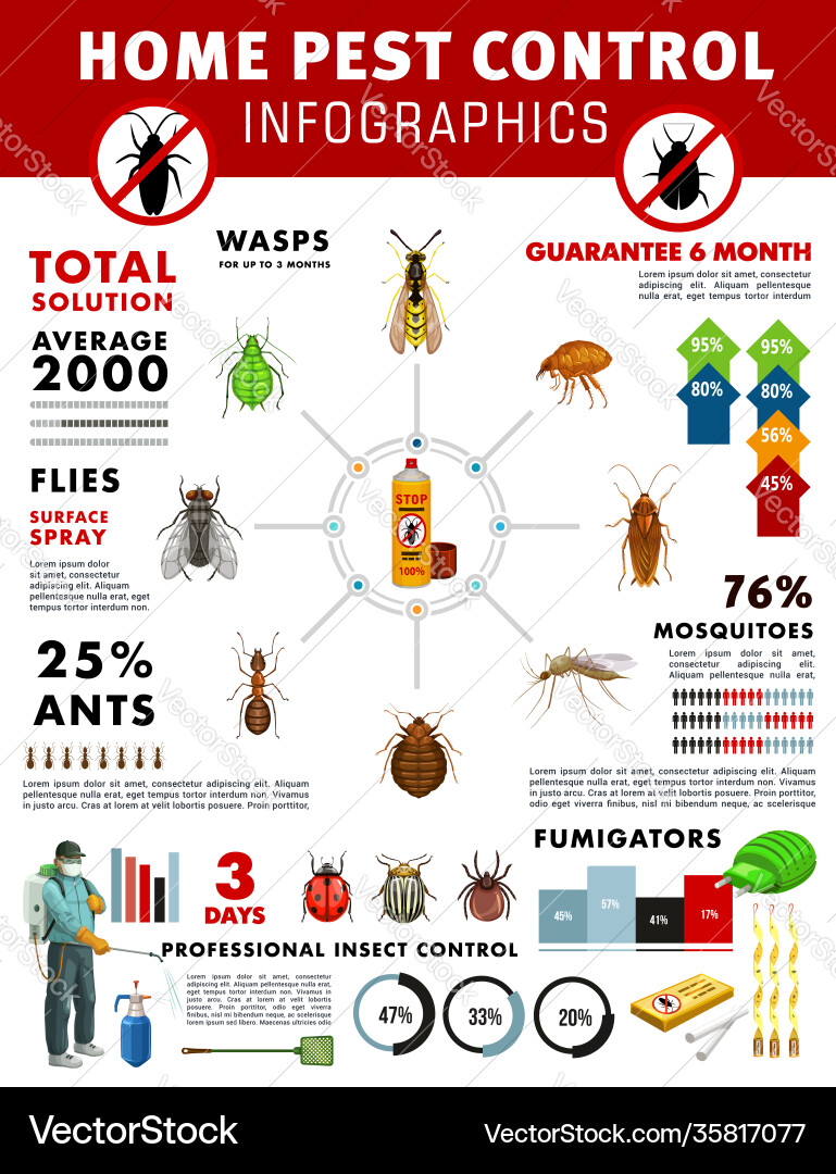 Pest control service infographics with graphs Vector Image