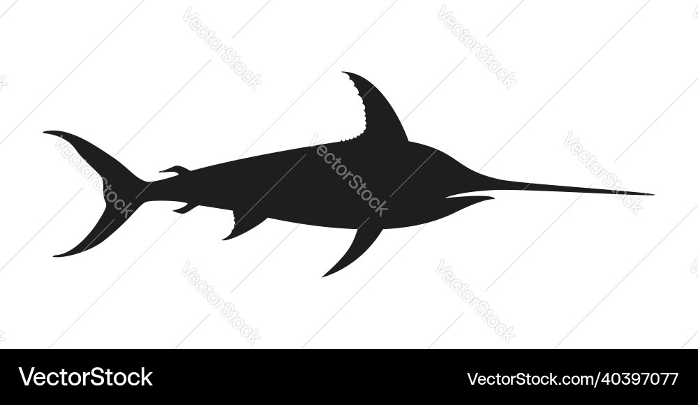 Swordfish Royalty Free Vector Image - VectorStock