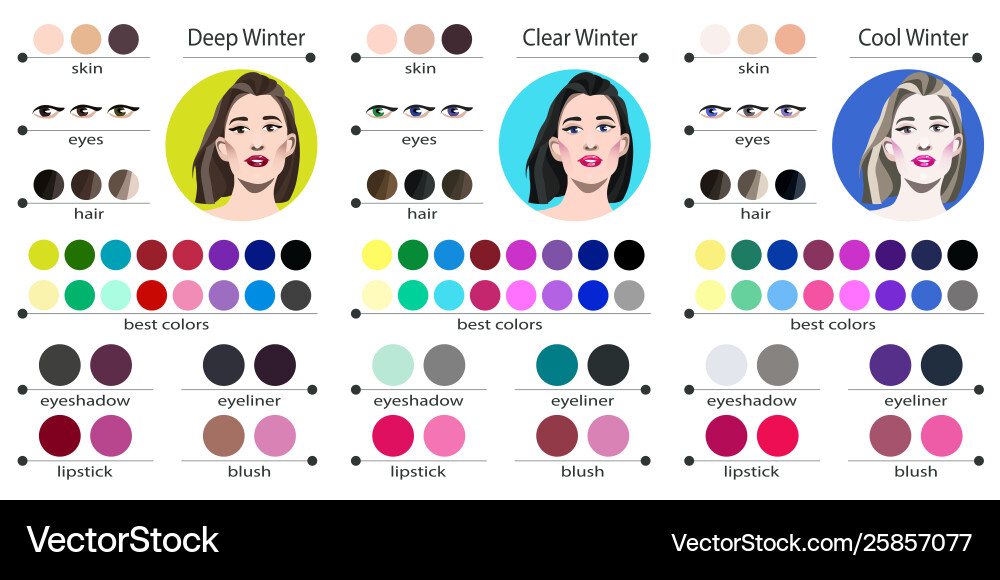 Winter Skin Color Palette - Cool & Deep Tones Vector Image