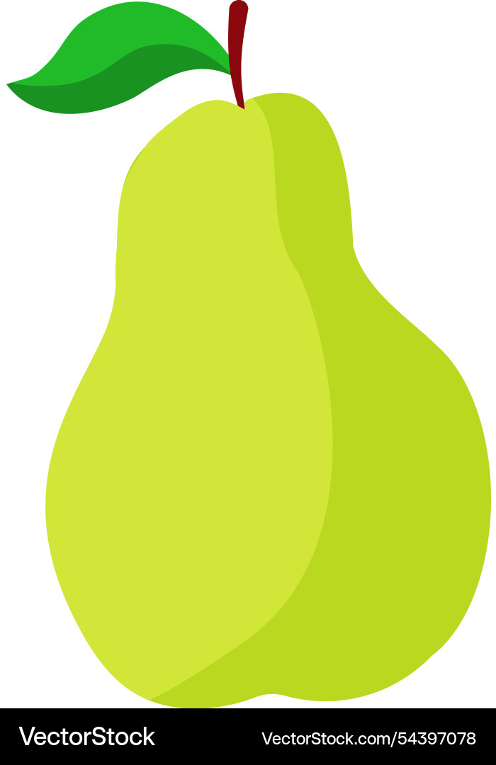 Fresh pear Royalty Free Vector Image - VectorStock
