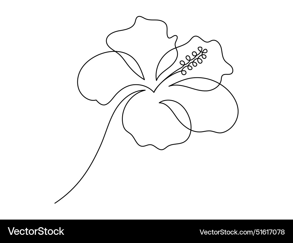 Hibiscus flower in one continuous line drawing Vector Image
