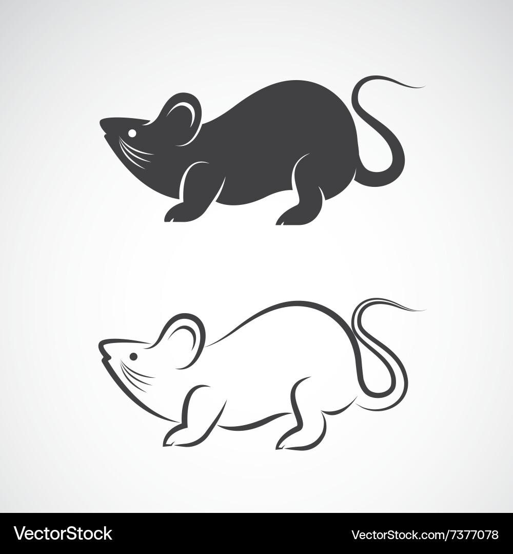Rodent Icon Set Royalty Free Vector Image - VectorStock