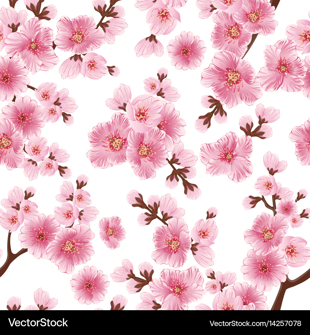 Sakura Blossom Seamless Pattern Royalty Free Vector Image