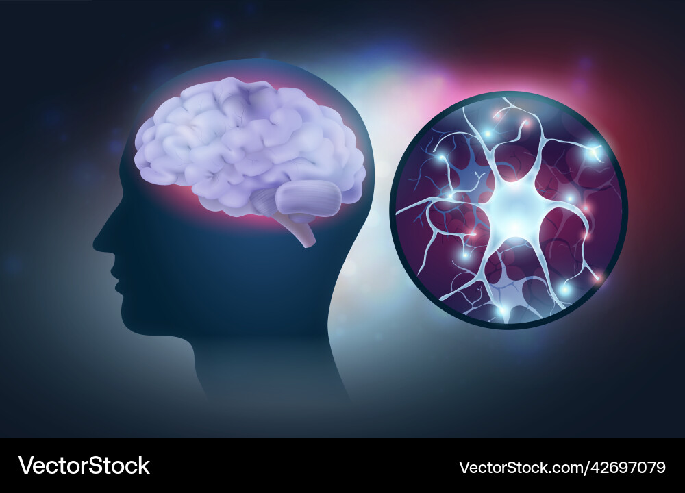 Brain realistic composition Royalty Free Vector Image