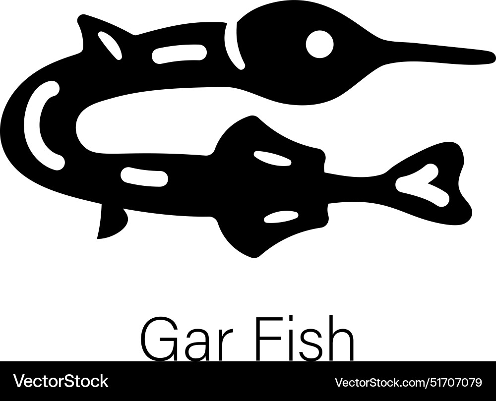 Gar fish Royalty Free Vector Image - VectorStock