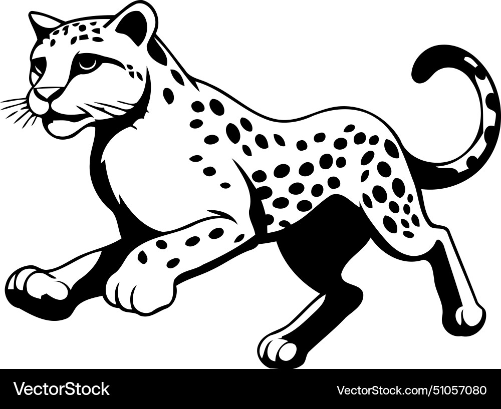 Cheetah running Royalty Free Vector Image - VectorStock