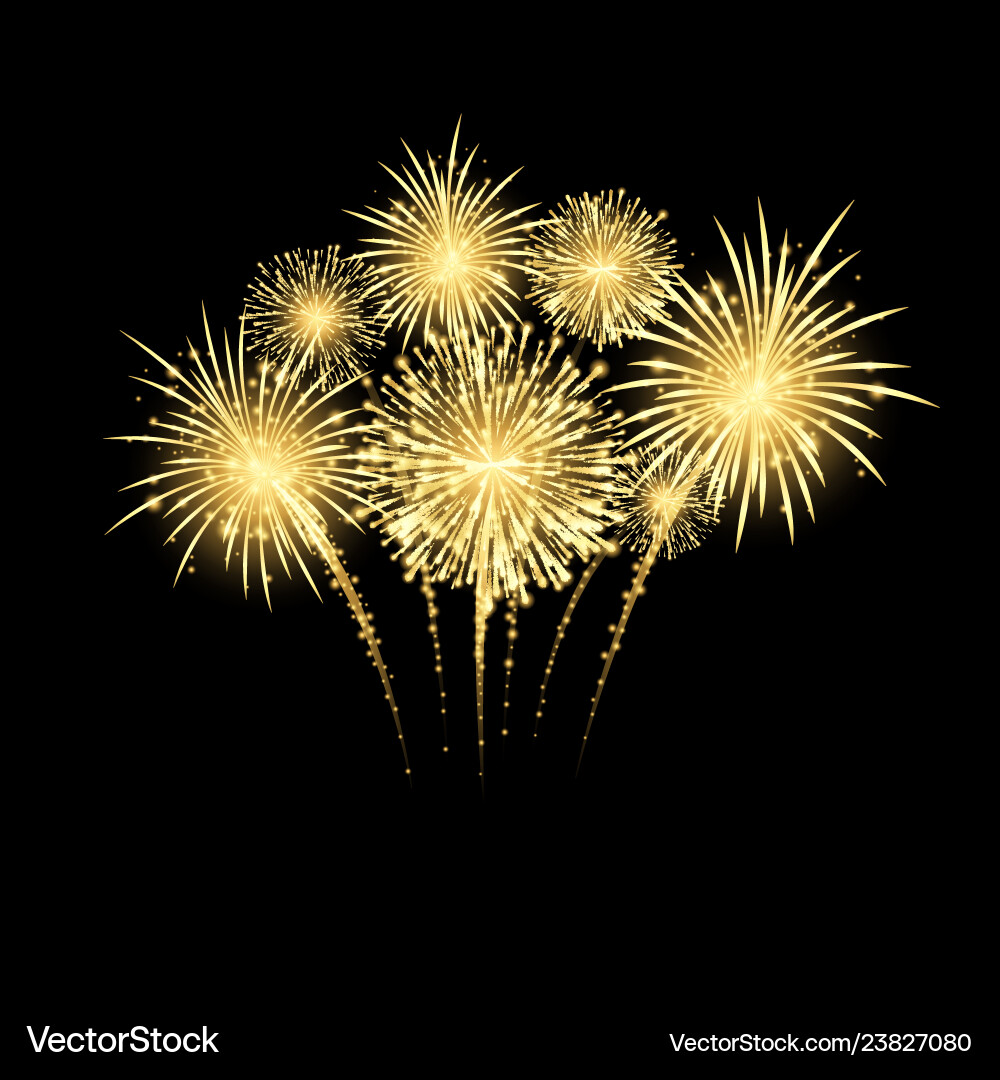 Festival firework colorful carnival fireworks Vector Image