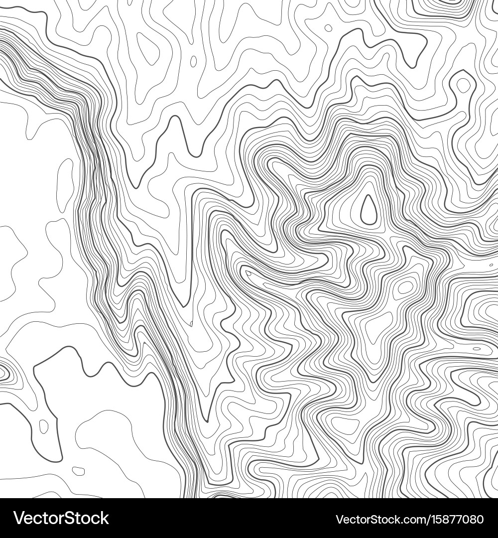 Topographic map background with space for copy Vector Image