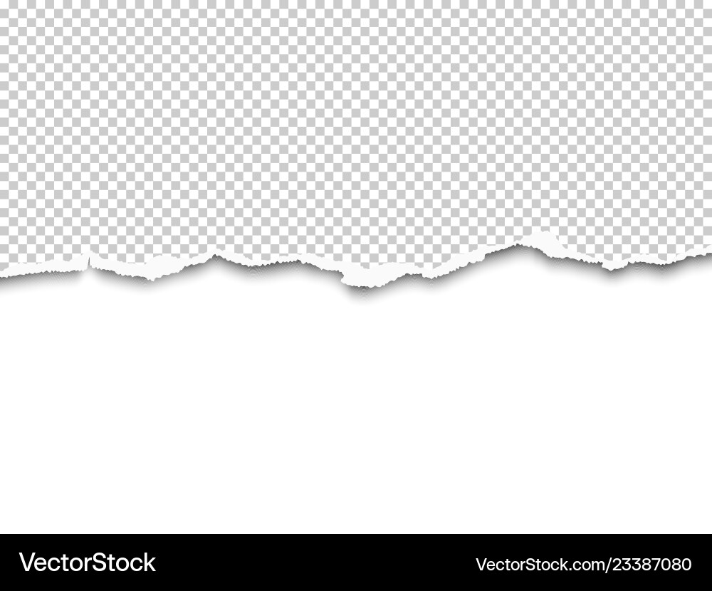 Torn a half sheet of transparent paper Royalty Free Vector