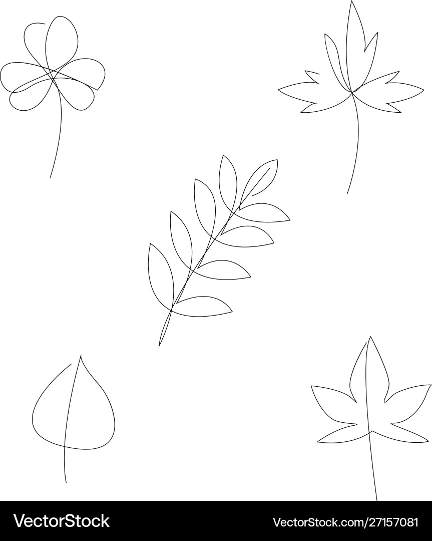 Single Line Leaf Drawing Set Royalty Free Vector Image