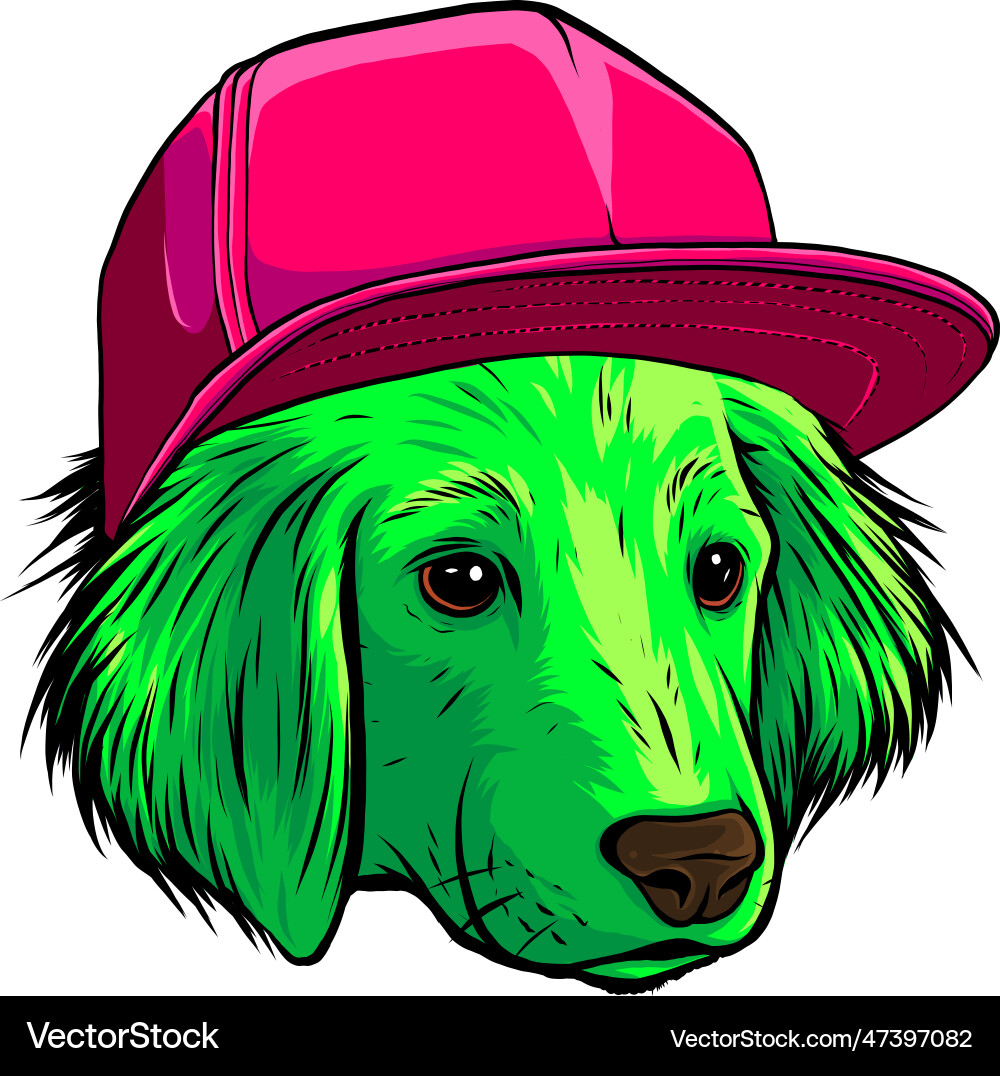 Cute cartoon dog in a cap Royalty Free Vector Image