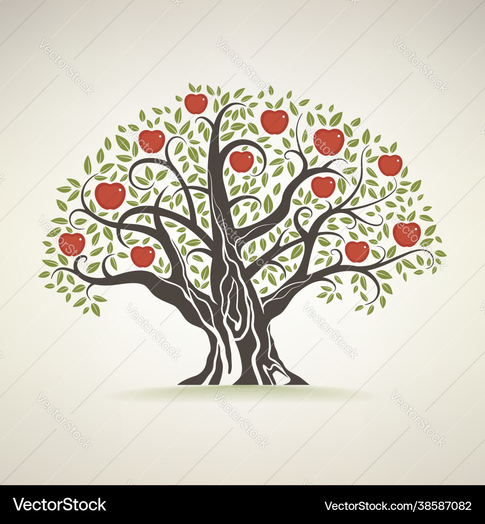 Old apple tree Royalty Free Vector Image - VectorStock