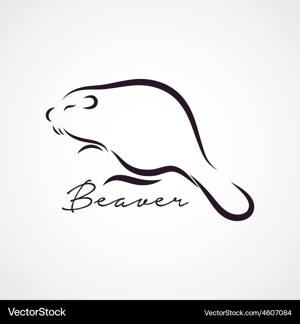 Beaver logo Royalty Free Vector Image - VectorStock