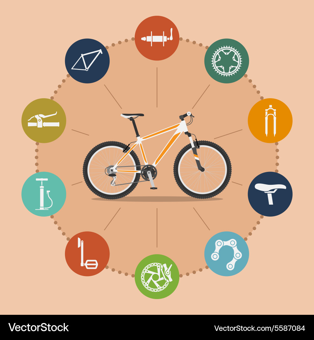 Bike infographic 2 Royalty Free Vector Image - VectorStock