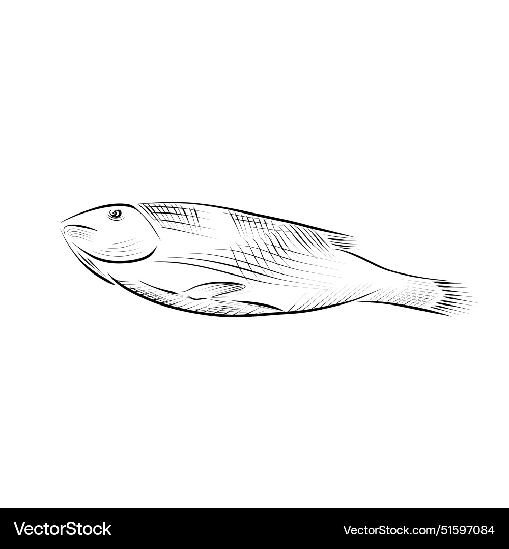 Drawing lines line art - fish Royalty Free Vector Image