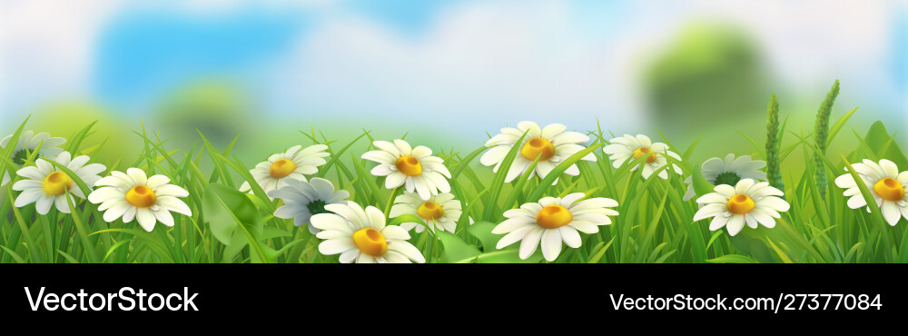 3d Spring Vector Images (over 41,000)