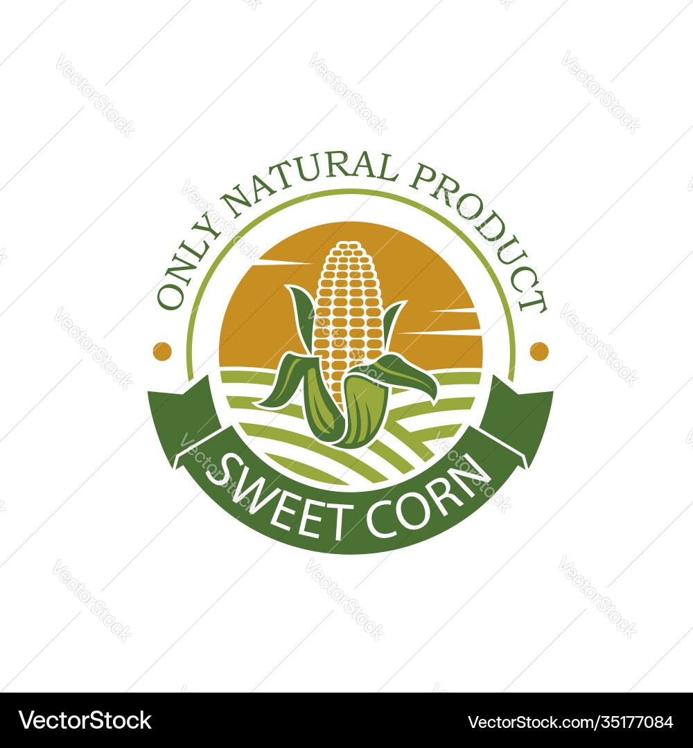 Sweet corn label Royalty Free Vector Image - VectorStock