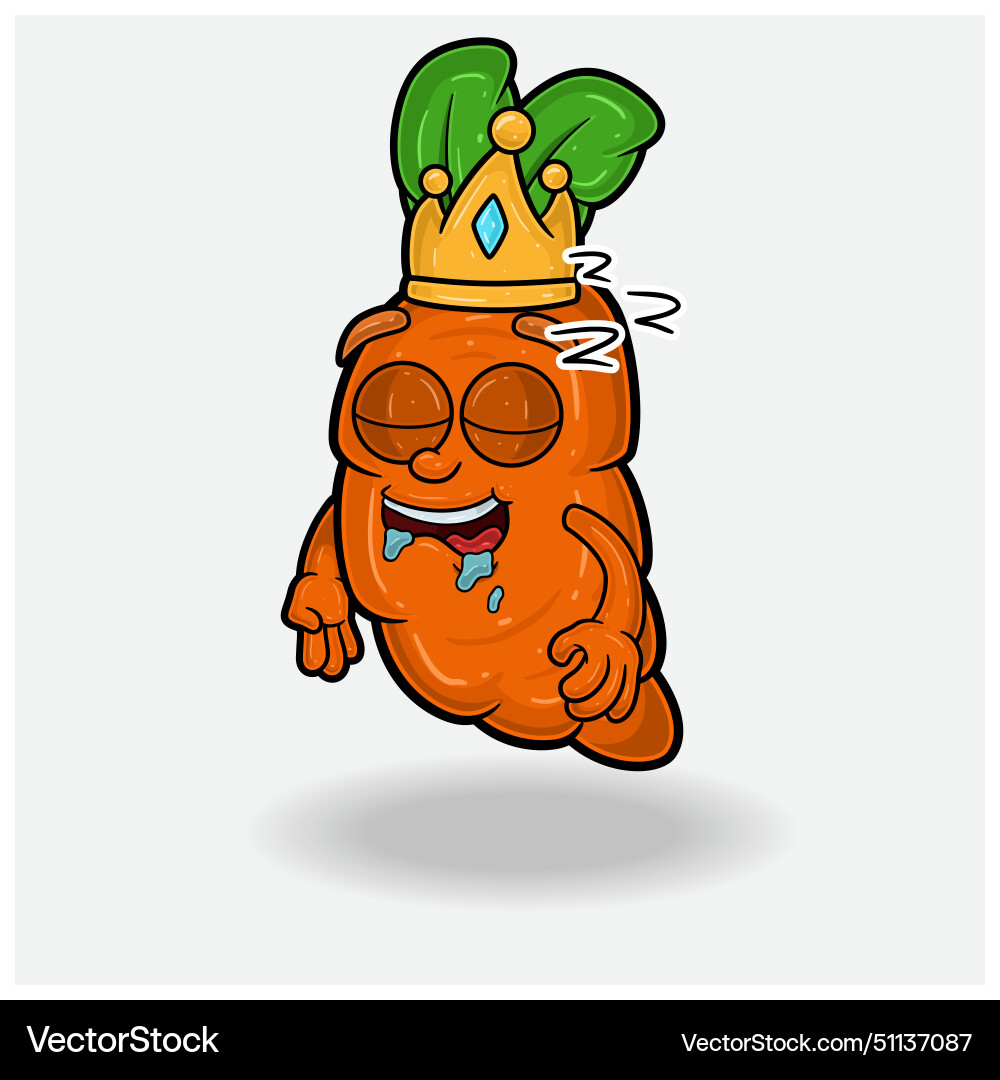 Carrot character cartoon with sleep expression Vector Image