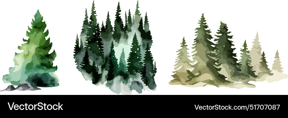 Fir tree clipart isolated Royalty Free Vector Image