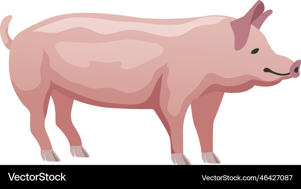 Flat pig Royalty Free Vector Image - VectorStock