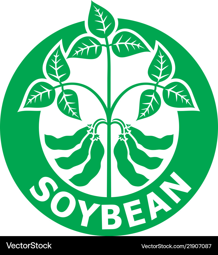 Soybean label Royalty Free Vector Image - VectorStock
