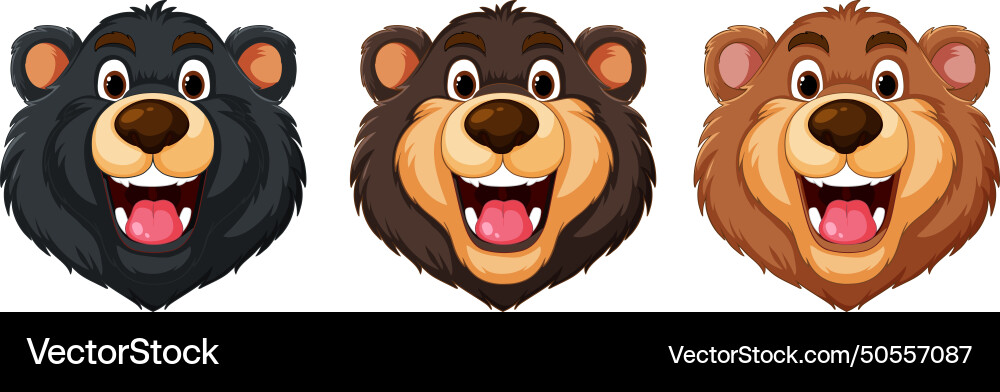 Three cartoon bear heads showing different Vector Image