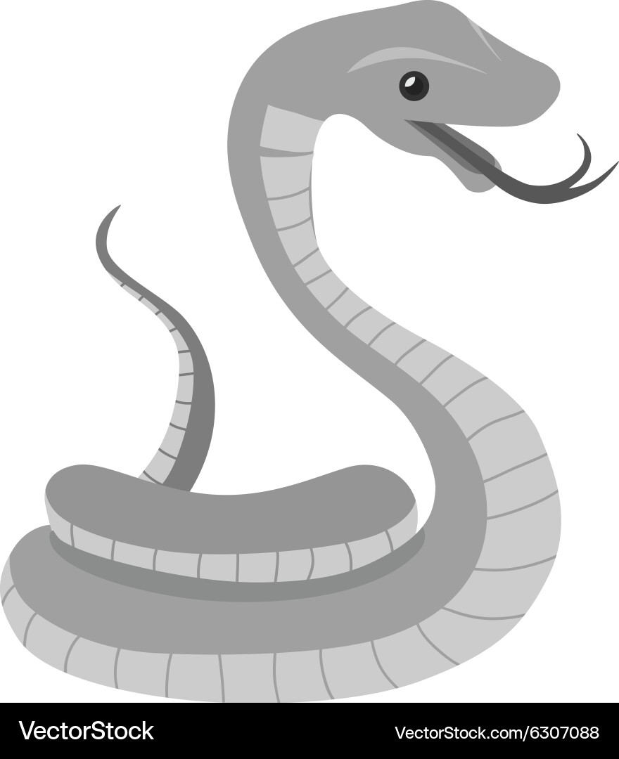 Snake Royalty Free Vector Image - VectorStock