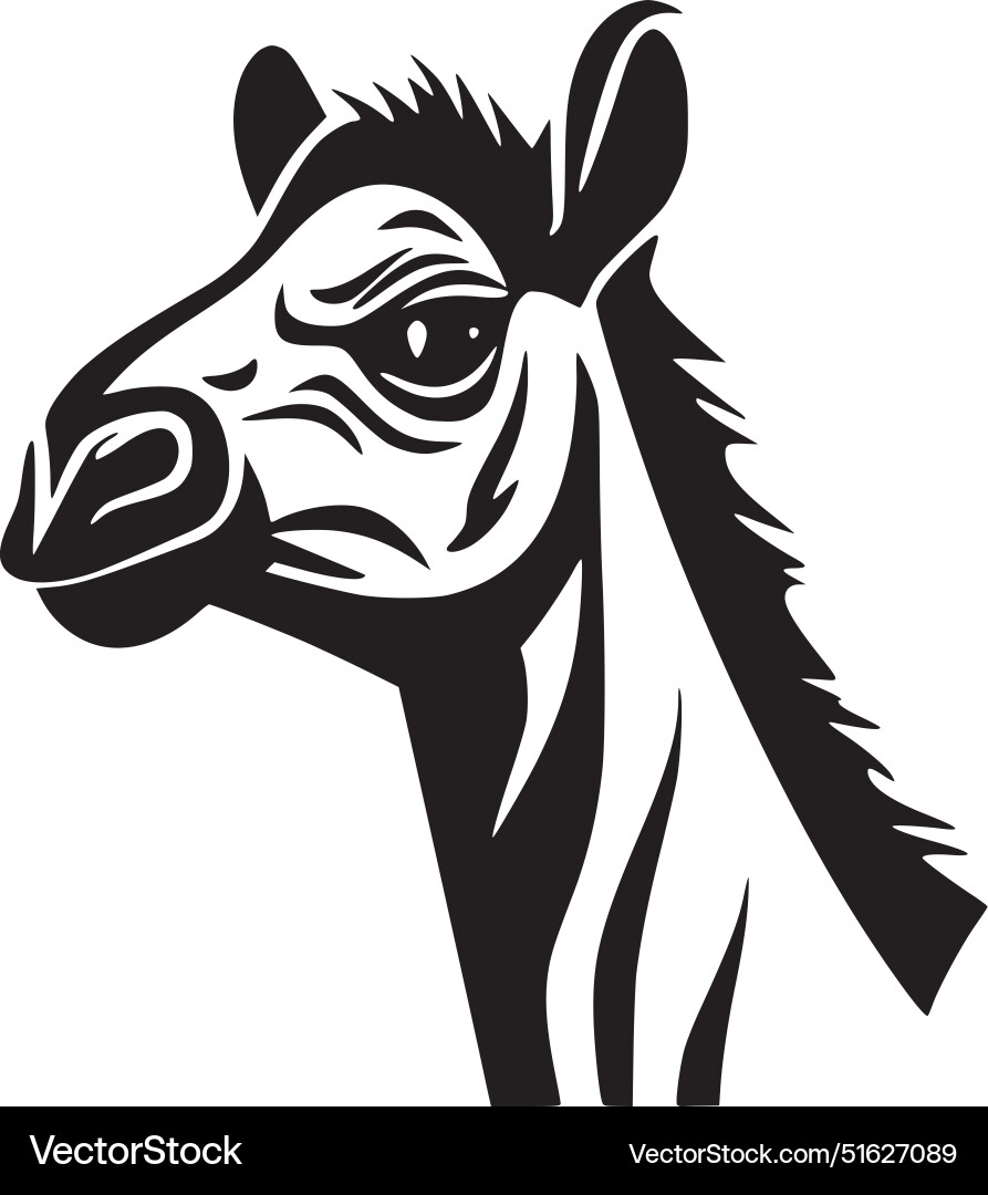 Camel - minimalist and simple silhouette Vector Image