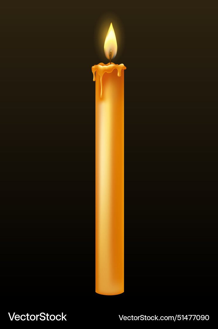 Burning candle with dripping or flowing wax Vector Image