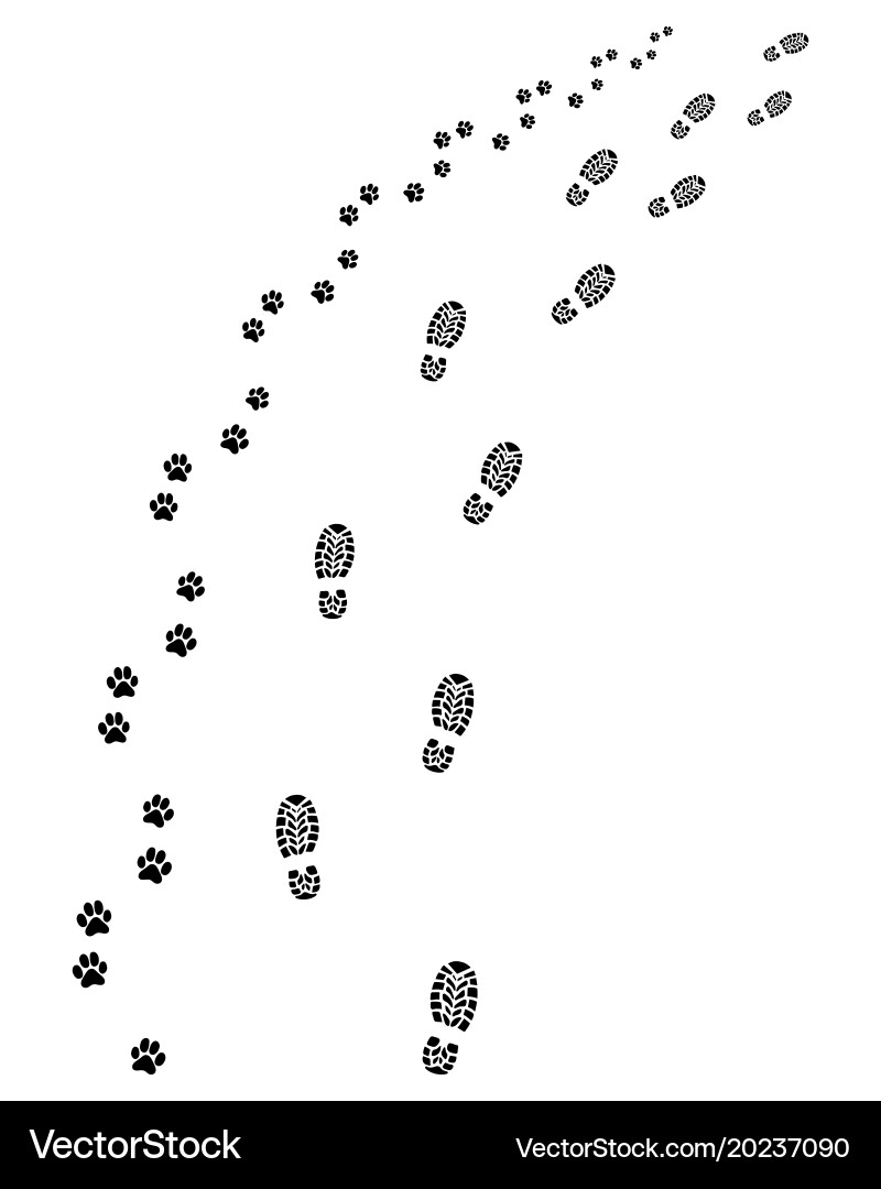Footprints of man and dog Royalty Free Vector Image