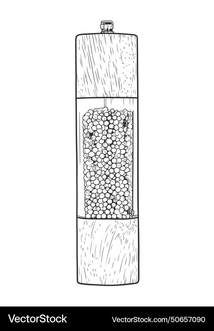 Salt and pepper grinder line art Royalty Free Vector Image