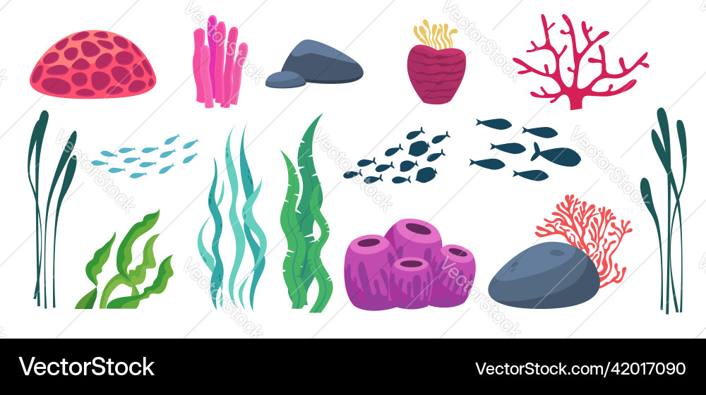 Underwater elements set of seaweeds corals Vector Image