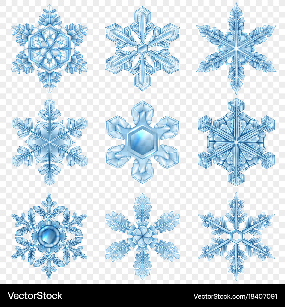 Realistic snowflake icon set Royalty Free Vector Image