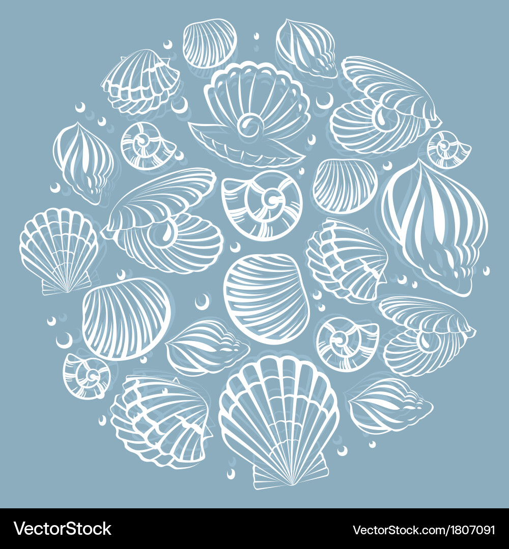 Seashell round design element Royalty Free Vector Image