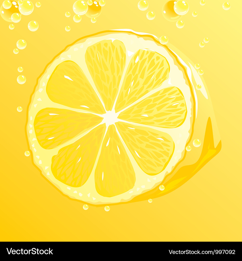 Lemon with bubbles Royalty Free Vector Image - VectorStock