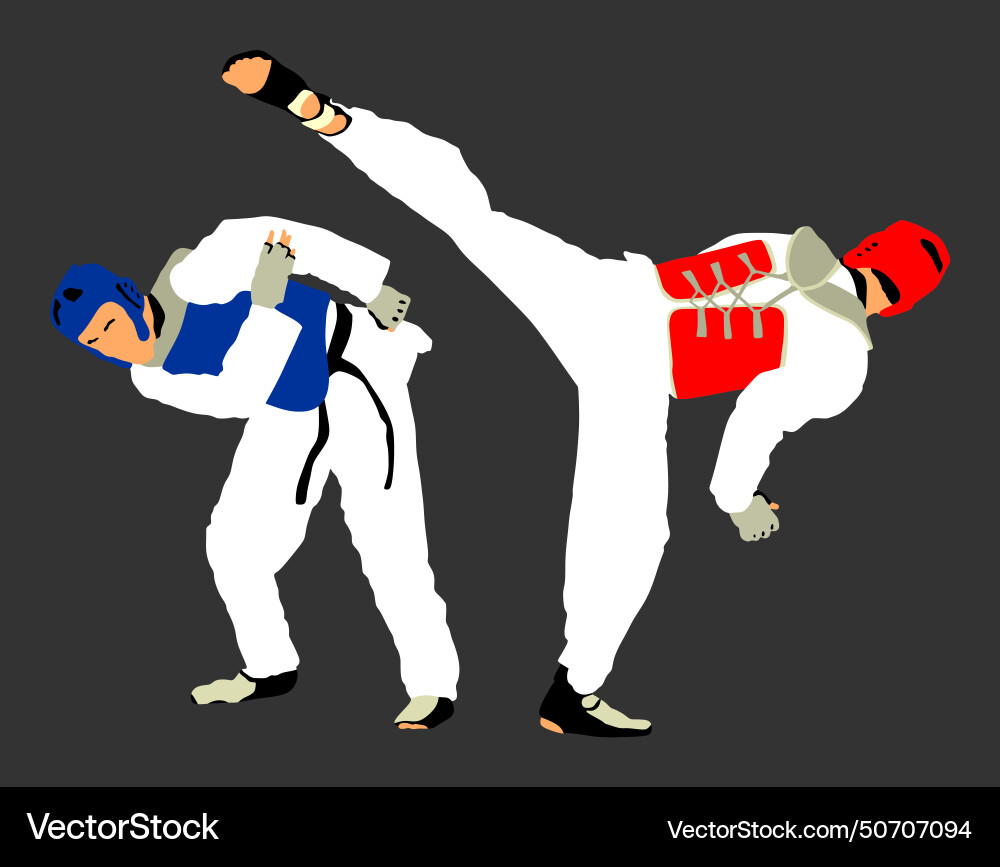Fight between taekwondo fighters Royalty Free Vector Image