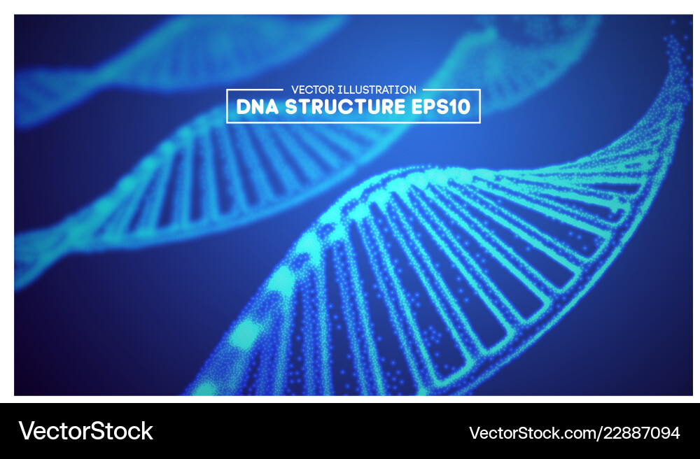 Genome dna structure eps Royalty Free Vector Image