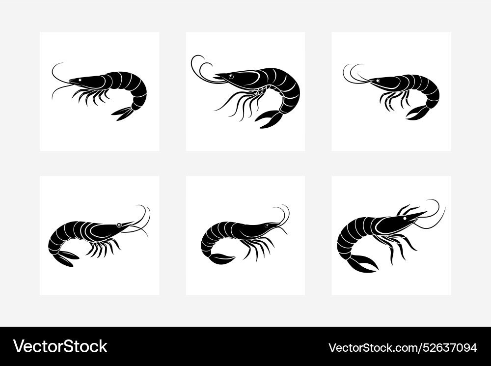 Shrimp fish designs on white background Royalty Free Vector