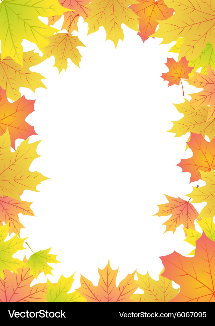 Maple leaves frame Royalty Free Vector Image - VectorStock