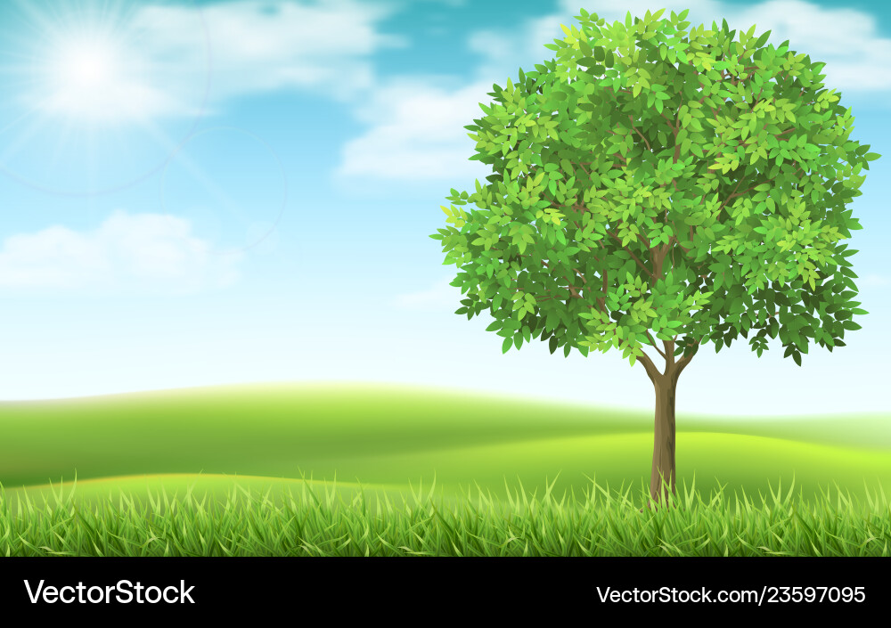 Serene Green Meadow Landscape Royalty Free Vector Image