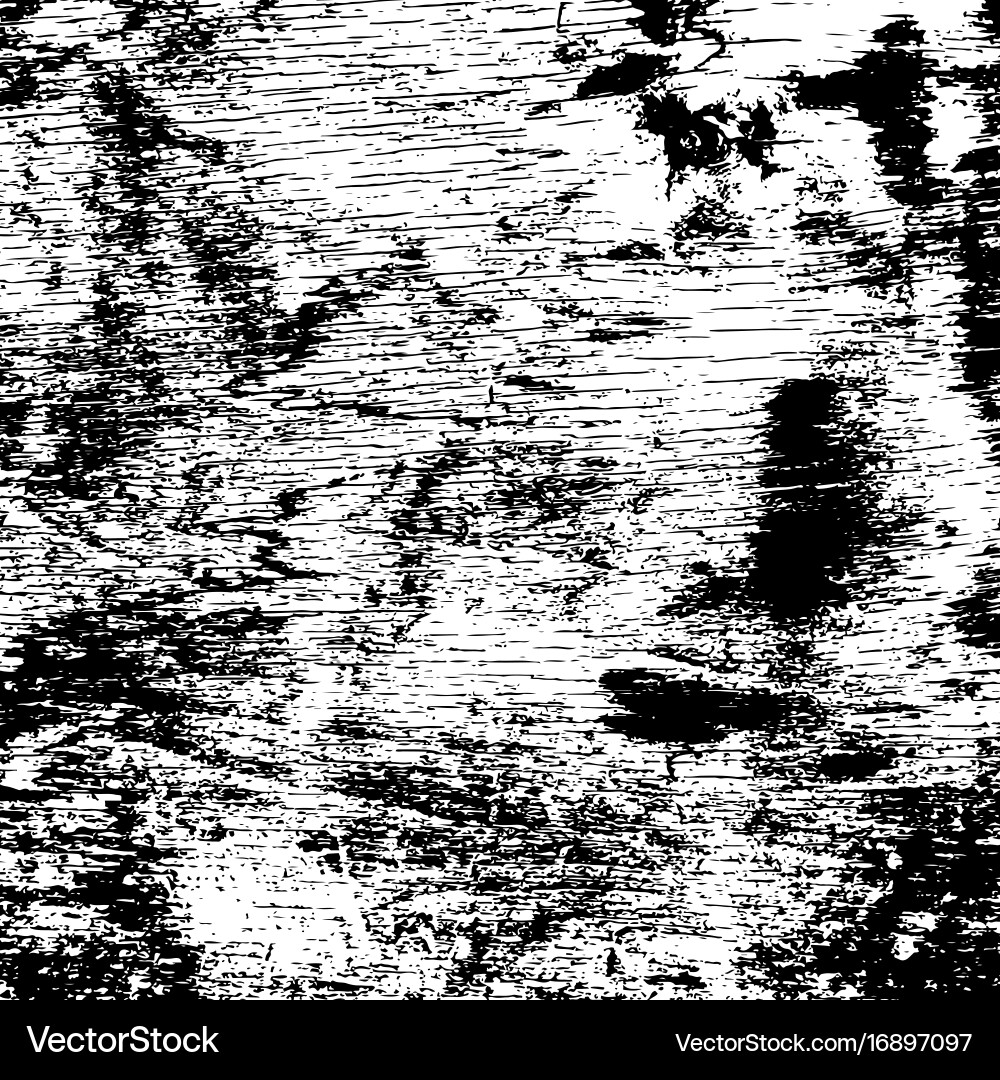 Grunge texture background Royalty Free Vector Image