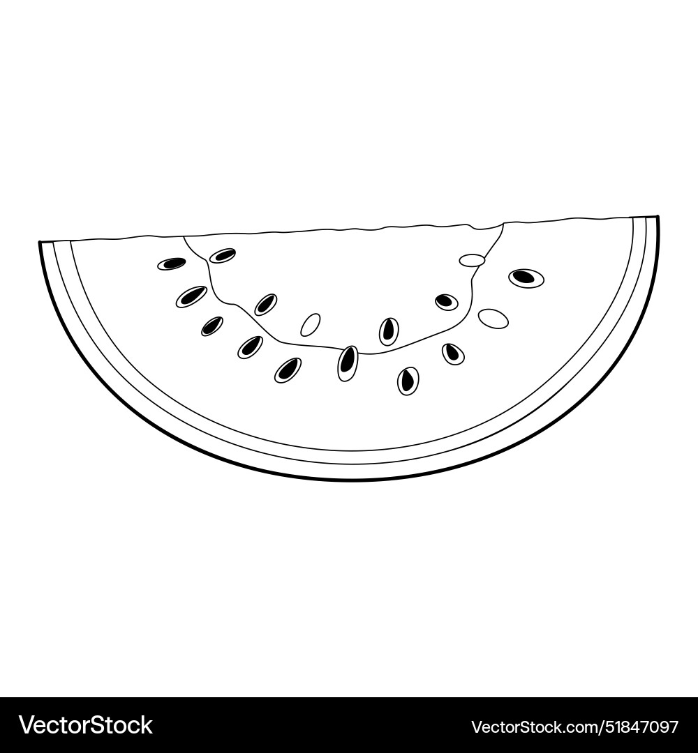 Watermelon slice line art ripe cut Royalty Free Vector Image