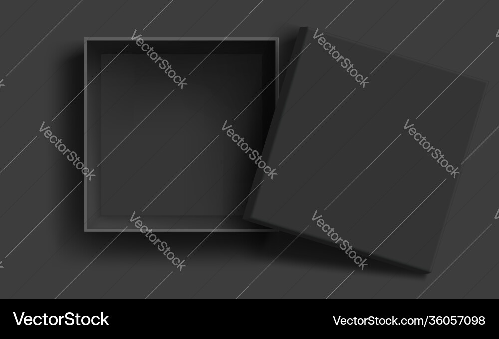 Empty open black cardboard box Royalty Free Vector Image