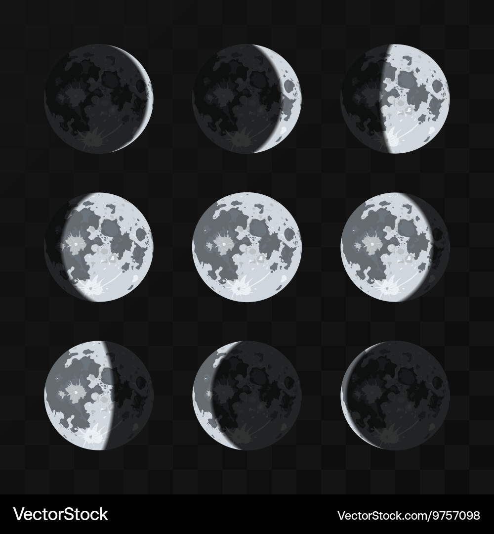 Moon Phase Collection Royalty Free Vector Image