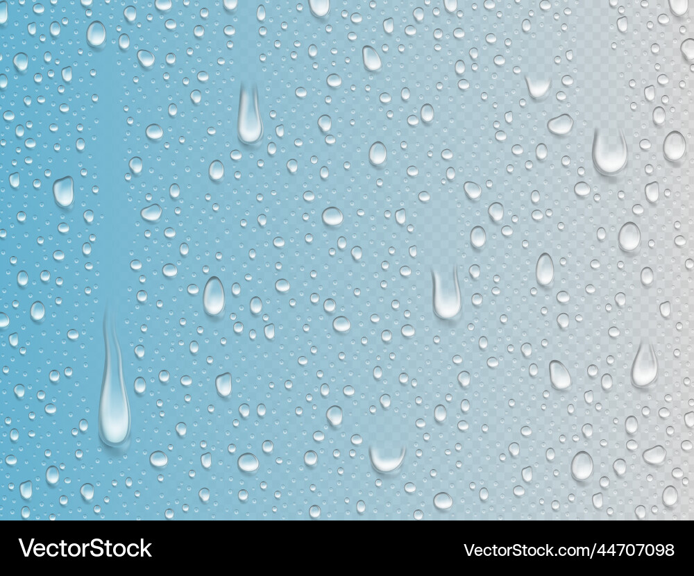 Realistic rain shower drops on glass water Vector Image