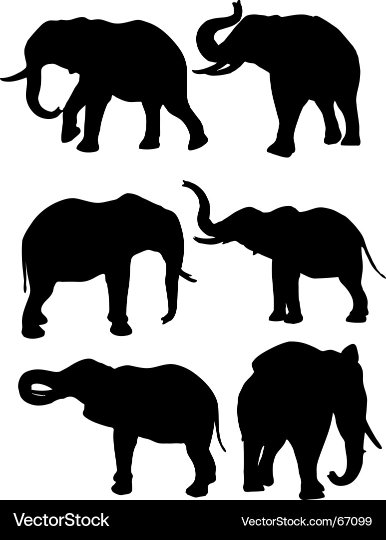 Elephants Royalty Free Vector Image - VectorStock