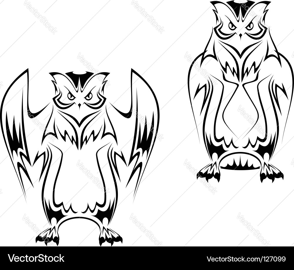 Owl Royalty Free Vector Image - VectorStock