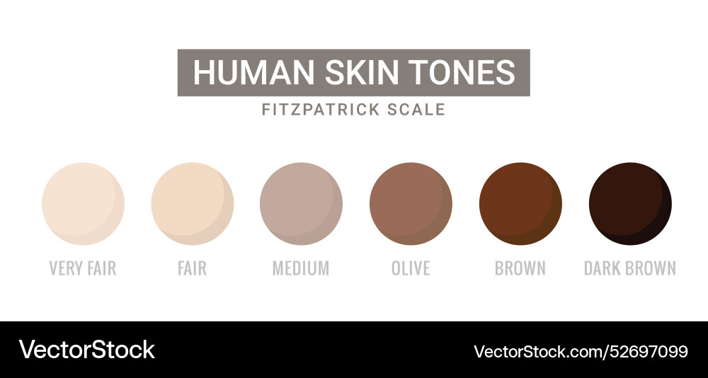 Skin tone color scale chart brown palette Vector Image