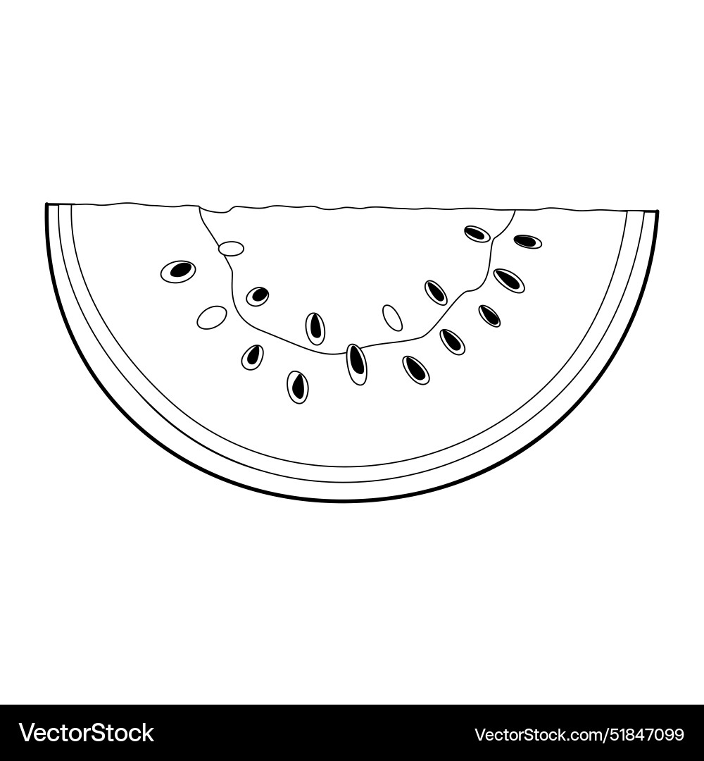 Watermelon slice line art ripe cut Royalty Free Vector Image